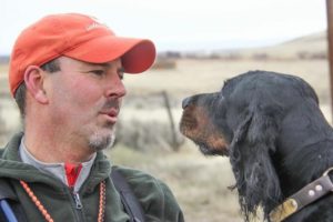 tallgrassgordonsetters.com